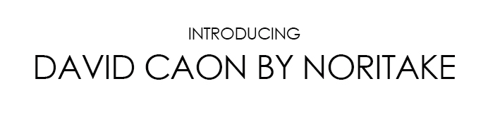 david caon banners - Noritake Australia Pty Ltd